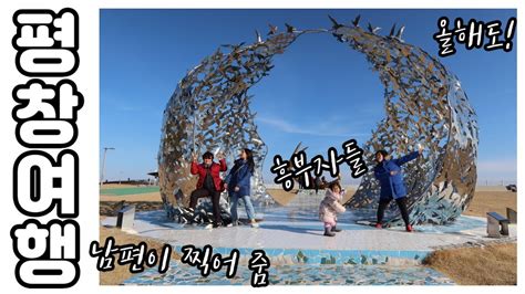 가족들과 스키여행 Vlog 평창여행 브이로그 알펜시아 용평리조트 송어회 대관령 한우 하늘목장 양떼 먹이주기 강릉 테라로스 영덕