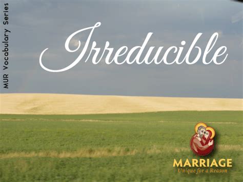 Vocabulary Irreducible Marriage Unique For A Reason