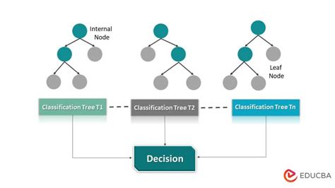 What You Should Know About Data Imputation Educba