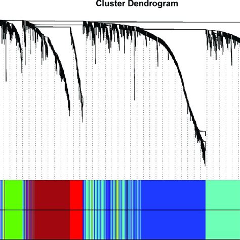 Clustering Tree Diagram By Hierarchical Clustering Based On Genebased Download Scientific