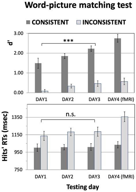 Semantic Grounding Of Novel Spoken Words In The Primary Visual Cortex