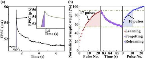 Realize Low Power Artificial Photonic Synapse Based On Algan Nanowiregraphene Heterojunction