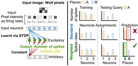 A Spiking Neural Network Snn Model For Visual Place Recognition Download Scientific Diagram