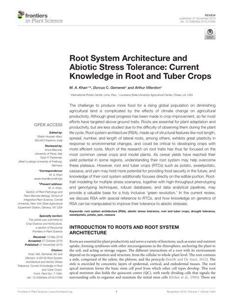 Pdf Root System Architecture And Abiotic Stress Tolerance Current