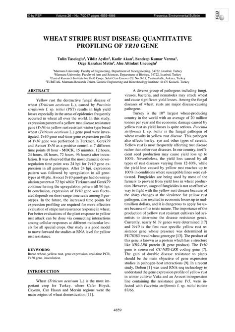 pdf wheat stripe rust disease quantitative profiling of yr10 gene