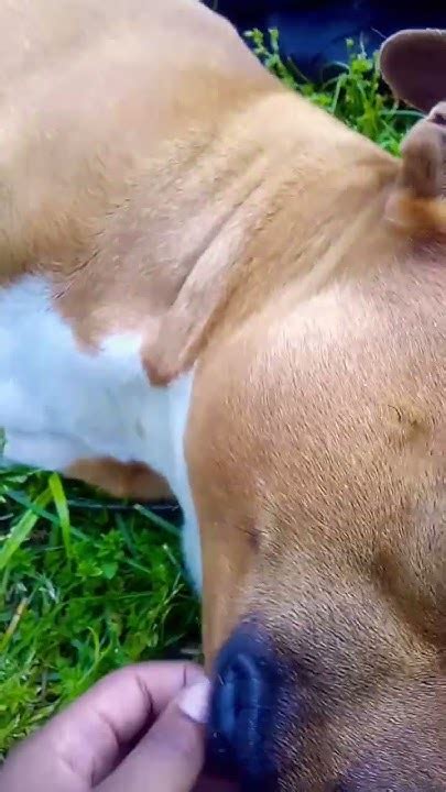 Part 2classc Youtube