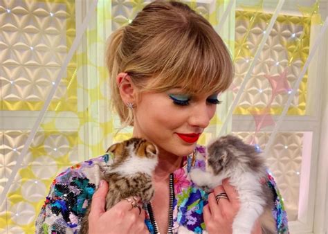 Taylor Swift Cats Names How Many Cats Does T Swift… 59 Off