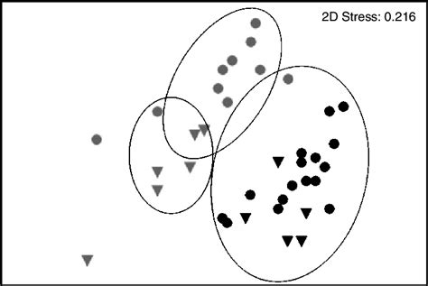 Non Metric Multidimensional Scaling Plot Displaying Similarity In