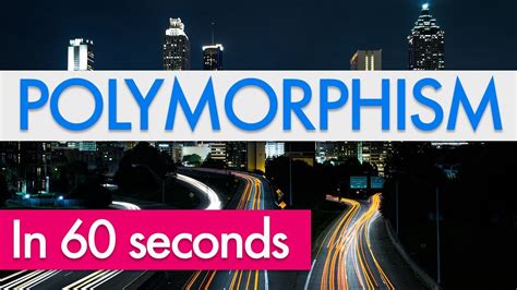 Php In 60 Seconds Polymorphism Youtube