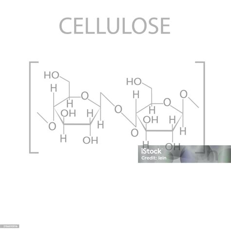 Cellulose Molecular Skeletal Chemical Formula Stock Illustration