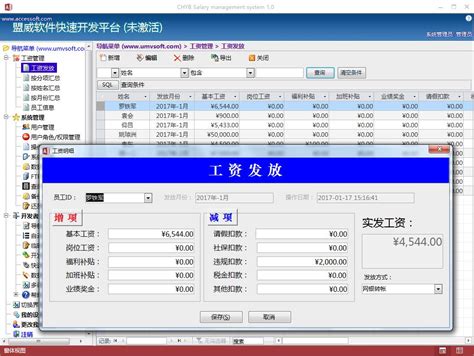 快速开发平台源码作品一个简单的发工资软件Access发工资软件Access工资发放管理系统Access软件网