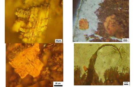 Wear Particles Generated In The First Week Of The First Experiment With
