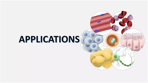 Stem Cells Ipscs Pptx