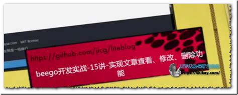 golang实战爬虫 beego博客项目实战课 天下无鱼 资源博客
