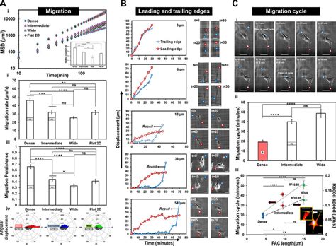 Interfiber Spacing Modulates Cell Migration A Msd Vs Time T Plots Download Scientific