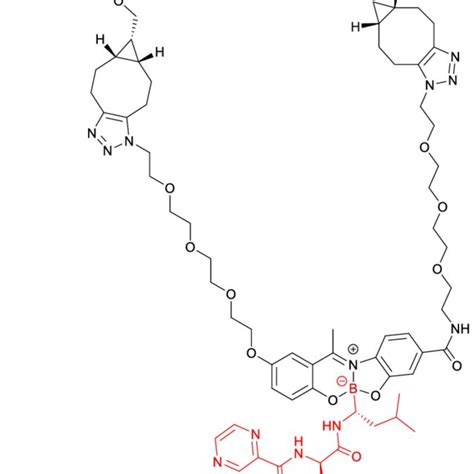 Structure Of The Boron Complex 10 Developed By Gois Et Al Consisting
