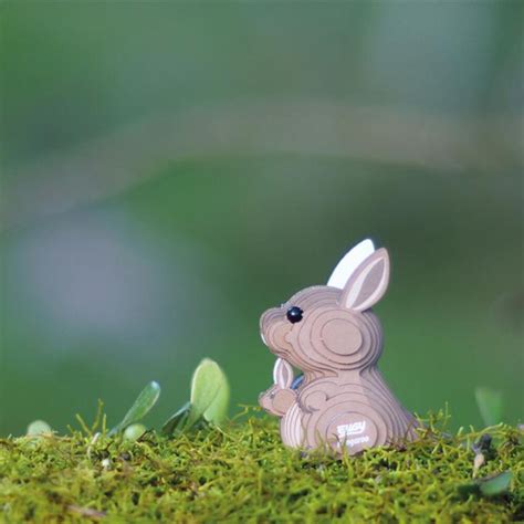 Eugy 3d Model Kangoeroe Hoge Ramen