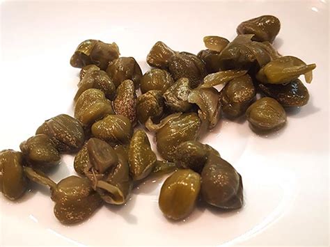 Så Här Förökar Du Och Sköter Om Din Kaprisplanta Wexthuset