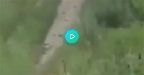 Why People Do This Kind Of Risky Things Album On Imgur