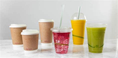 Vasos Desechables Ecológicos Ecoologic