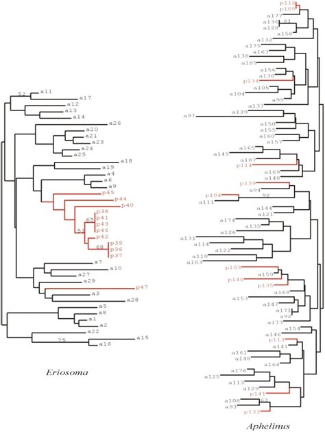 Bootstrap Values Were Computed Over 2000 Replications Resampling The