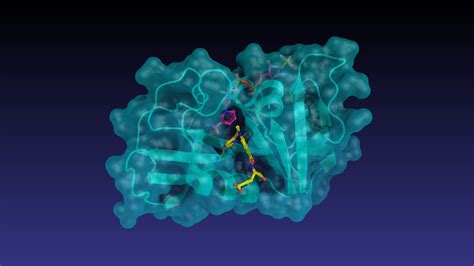 Schrodinger Pymol For Mac 破解版下载 生物分子结构可视化和模拟软件 麦氪搜