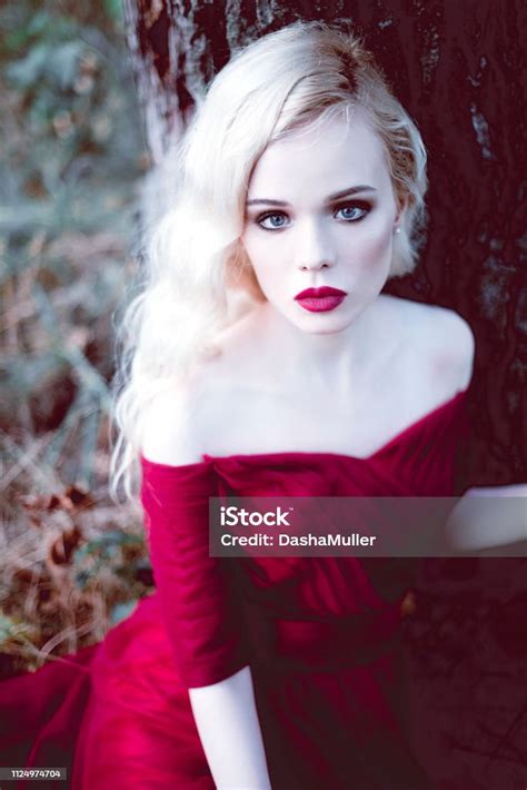 패션 동화 숲에 아름 다운 빨간 드레스에 화려한 젊은 금발 여자 마법의 분위기입니다 샷 토닝 Retouched 공주에 대한 스톡 사진 및 기타 이미지 Istock