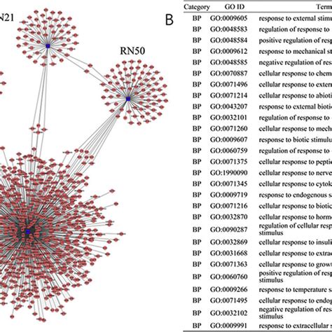 Novel Mirnas Targets Prediction And Functional Analysis Of Validated Download Scientific