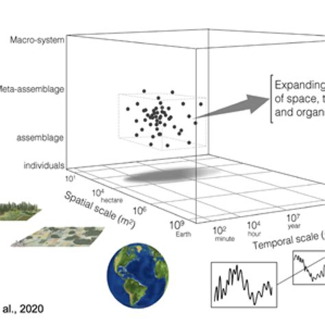 Biodiversity Across Scales Mapping Functional Diversity With Remote Sensing To Assess Scale