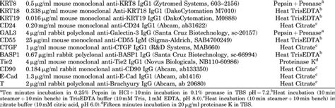 Immunohistochemistry Methodology Details Of The Antibodies And Antigen