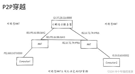 webrtc原理与web端实战开发 webrtc开发 csdn博客
