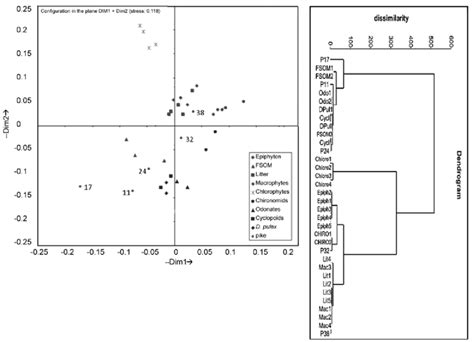 Agglomerative Hierarchical Clustering Analysis Right And