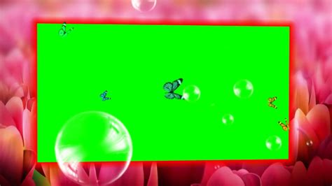 3d Wedding Green Screen Effectsweddingbutterfly Frame3d Ediusgreen