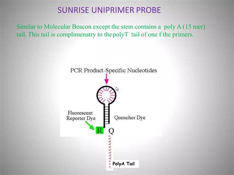 Study Of Microarray Genomic Study Ppt