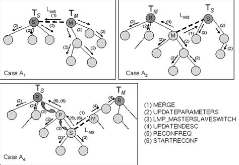 Different Actions Performed By Shaper On Primitive Topologies