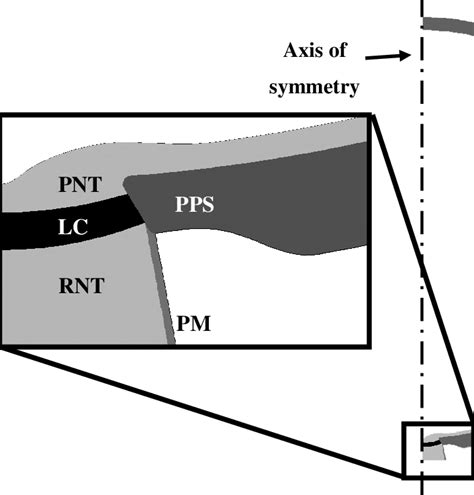 Axisymmetric Model Geometry Used For Finite Element Computations In