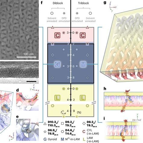 Comparison Of The Networks And Phase Diagrams Between Di And Triblock Download Scientific