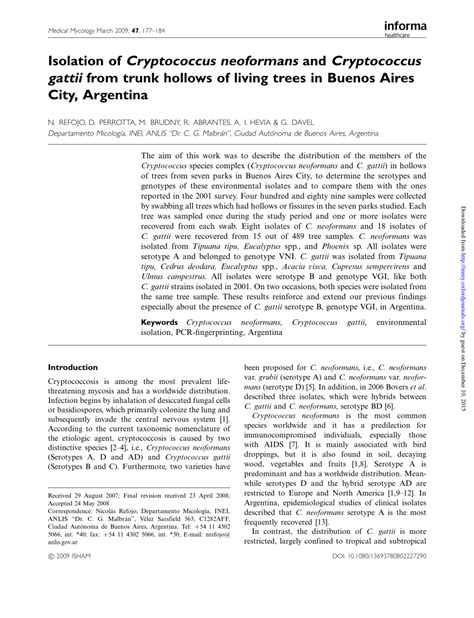 PDF Isolation Of Cryptococcus Neoformans And Cryptococcus Gattii From Trunk Hollows Of Living