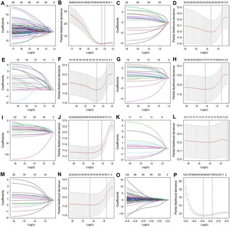 Least Absolute Shrinkage And Selection Operator Lasso Coefficient Download Scientific Diagram