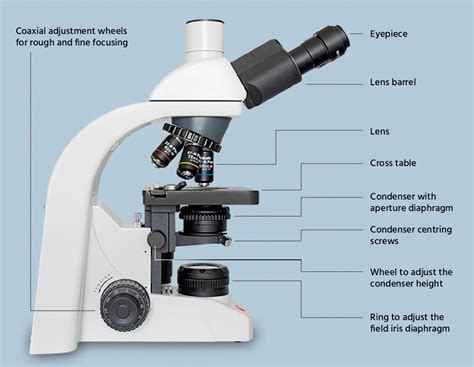 Microscope Diaphragm Microscope Diaphragm