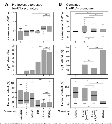 Figure 5 From Evolutionary Analysis Across Mammals Reveals Distinct Classes Of Long Non Coding