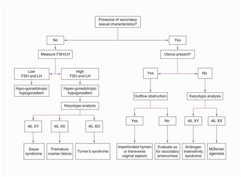 Workup For Patients With Primary Amenorrhea Turner Syndrome Hymen Obstetrics And Gynaecology