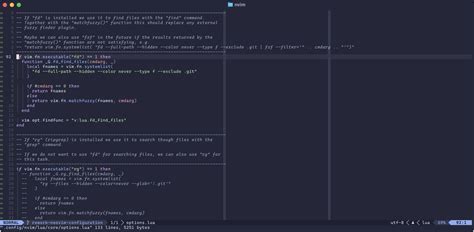 Reworking My Neovim Configuration Blog Rico Berger