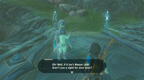Zora Who Remember Link In Botw R Tearsofthekingdom