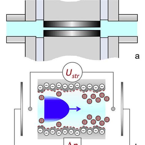 Dynamic Streaming Potential Analysis May 29 2024 Carina Santner Dr Thomas Luxbacher Life