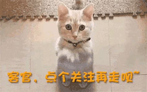 最全的A股新手指南 建议收藏 最全的A股新手指南炒股基础规则别再懵懂交易了建议新手收藏一个成功的交易者不能免受心理干扰但他能够更好地