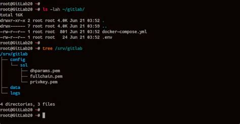 How To Install GitLab With Docker On Ubuntu LTS