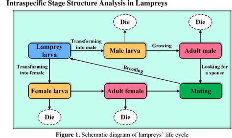Figure 1 From Dynamics Of Sea Lamprey Populations In Marine And Lake Environments An Analysis
