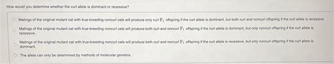 Solved How Would You Determine Whether The Curl Allele Is Chegg Com