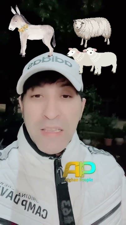 جانی جانی یک تعداد زیاد تشنه خونمان است Youtube